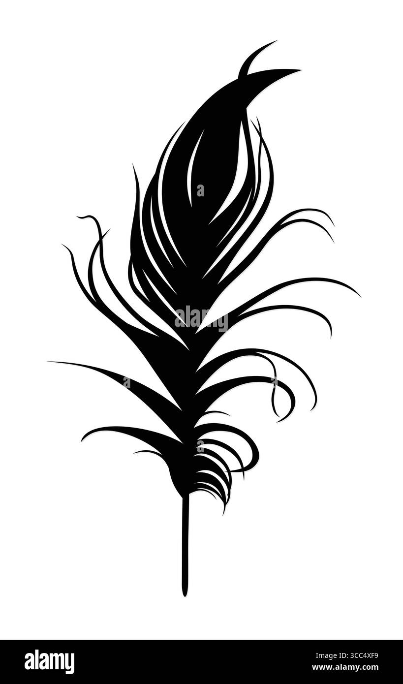 The silhouette of a stylized bird feather Stock Vector Image & Art - Alamy
