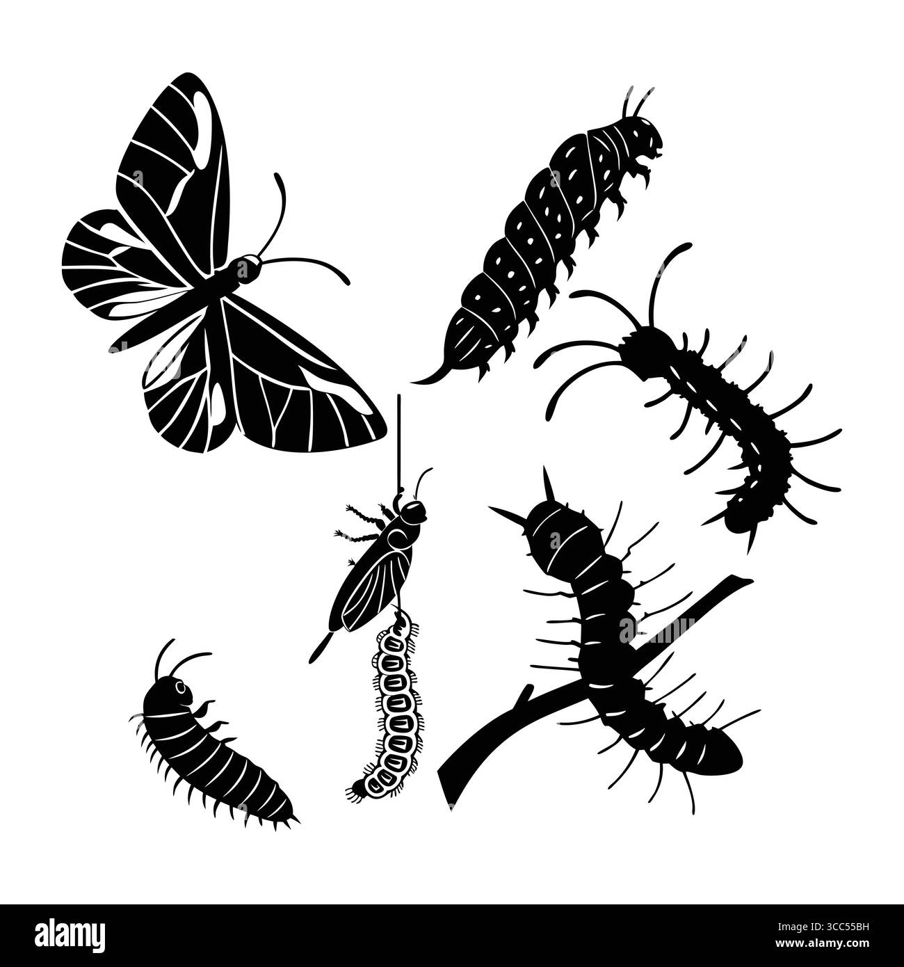 Silhouette Illustrations of Various Insects and Arthropod Creatures ...