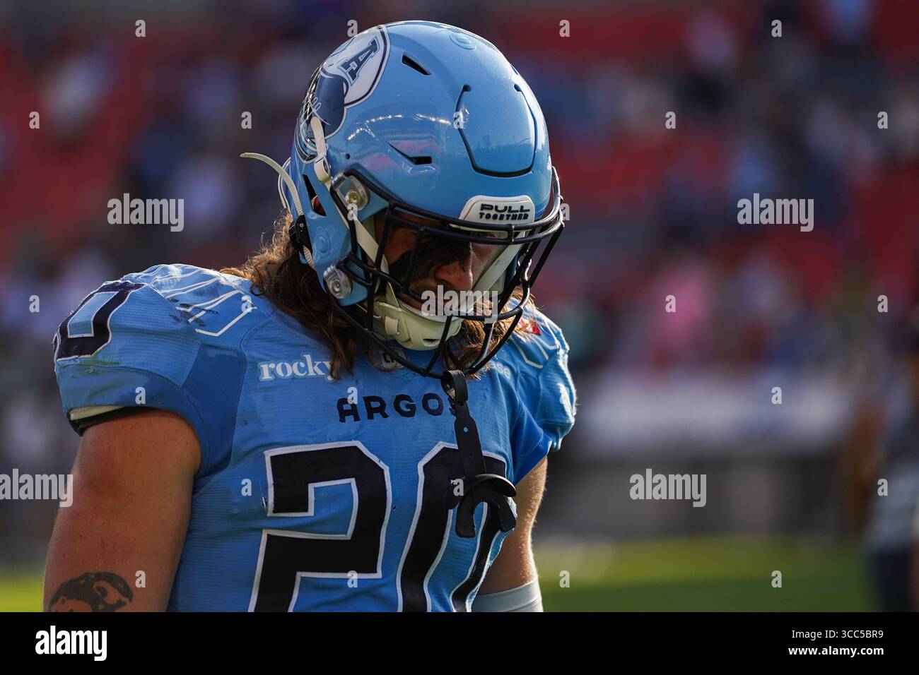 Toronto Argonauts defensive back Derek Slywka #20 looks on during the ...