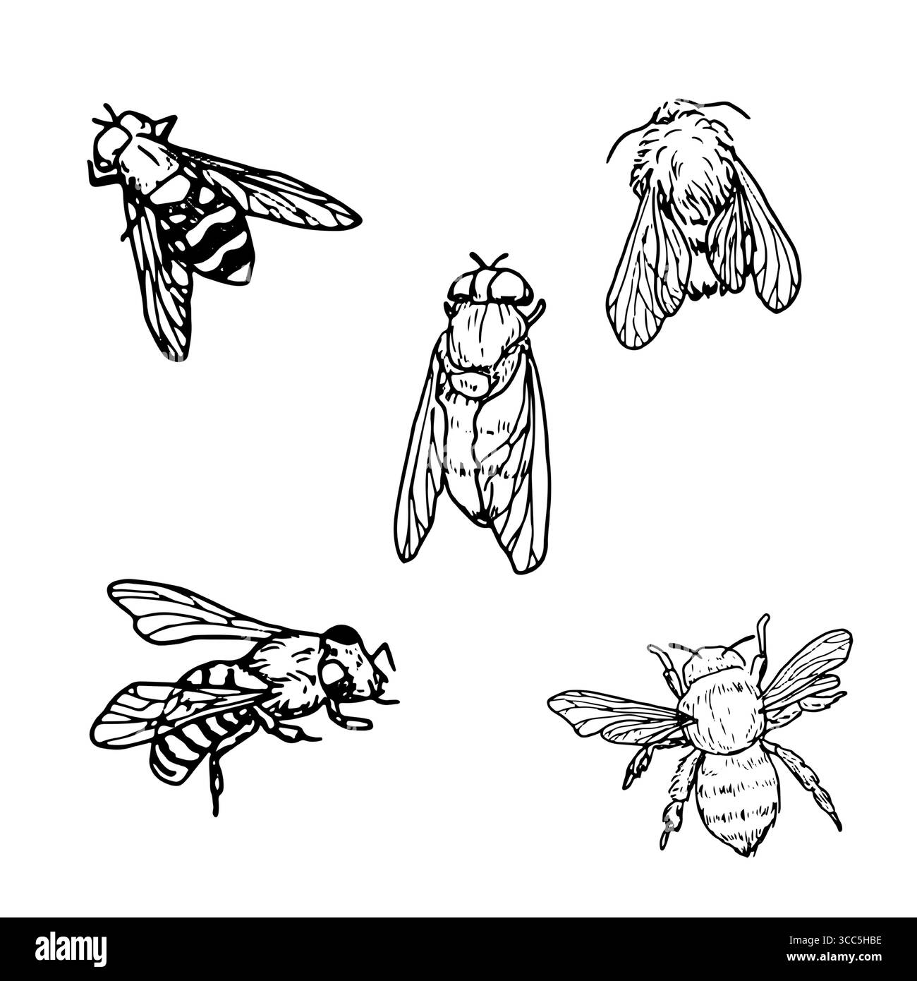 Flies, bumblebees and bees, a set of silhouettes in black and white ...