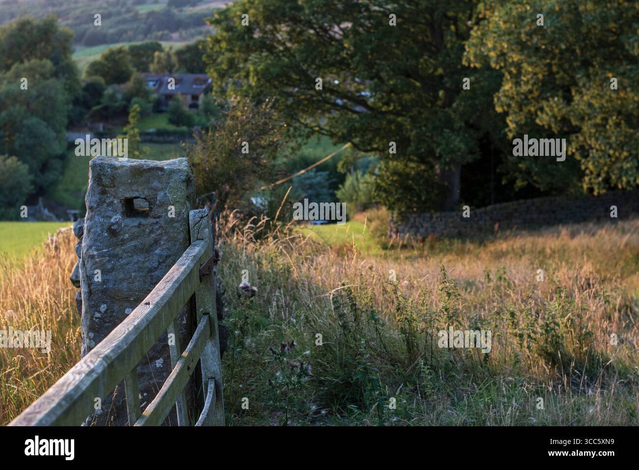 Scenic view of North Yorkshire farmland Stock Photo - Alamy