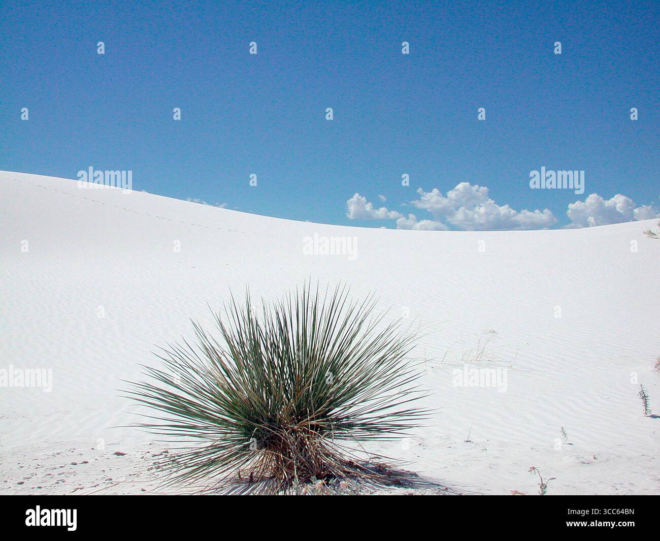 a desert landscape, an area in nature with little rainfall desert ...