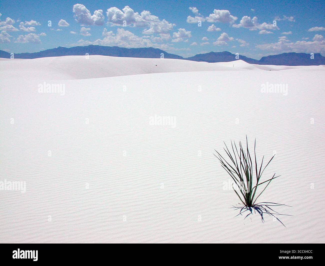 a desert landscape, an area in nature with little rainfall desert ...