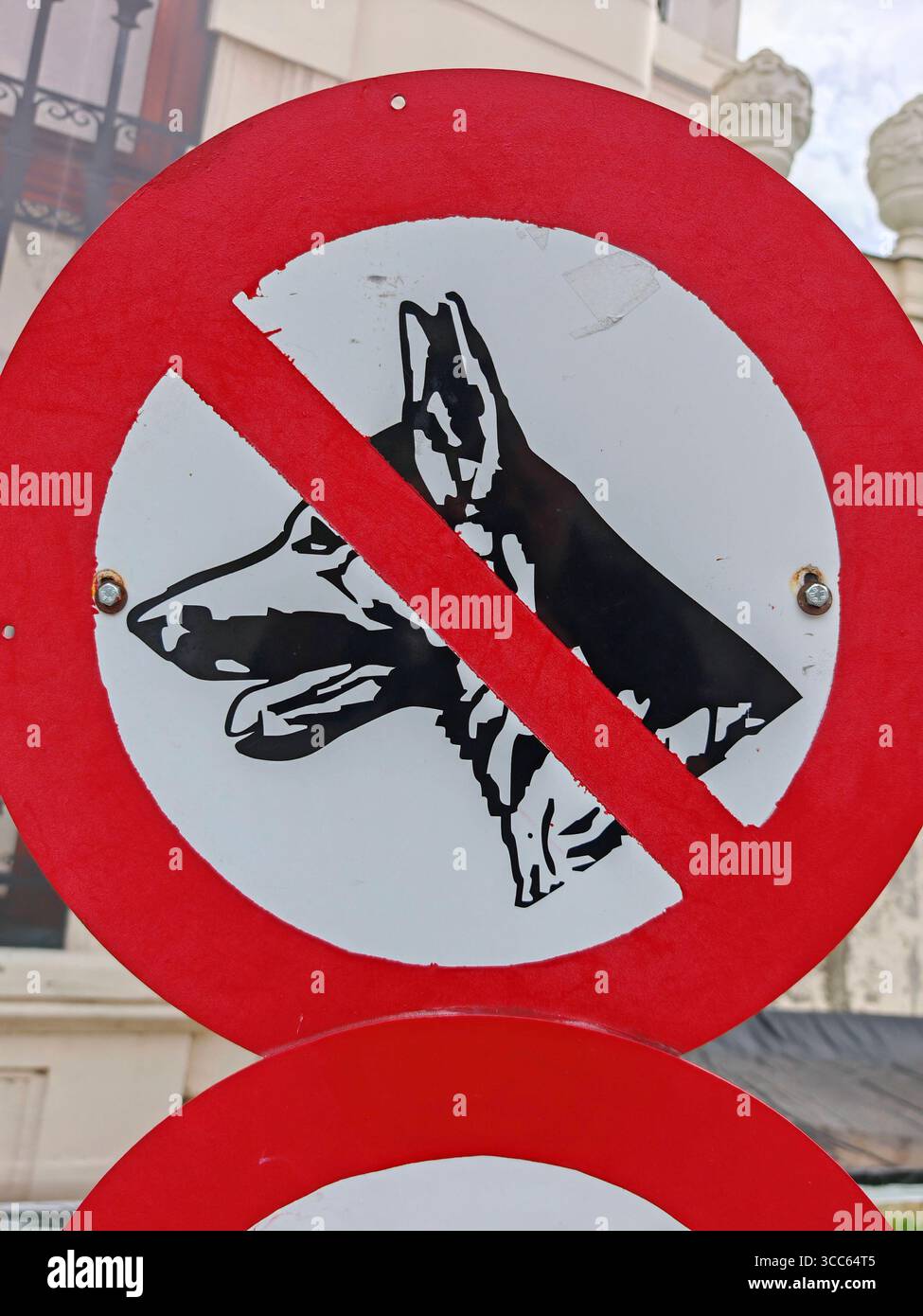 here are dogs forbidden in this aerea dogs forbidden in this aerea ...