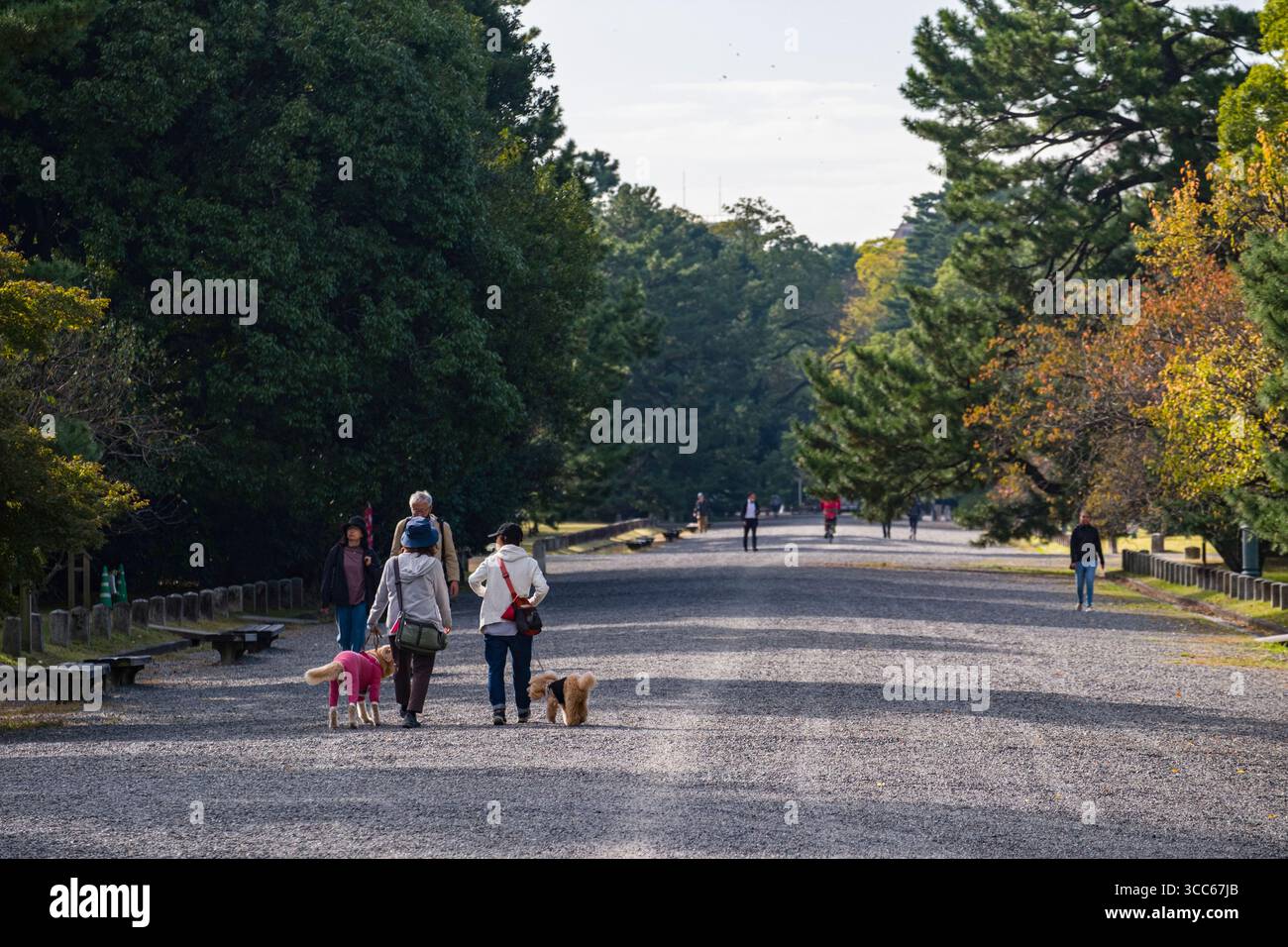 People jogging along scenic park hi-res stock photography and images ...