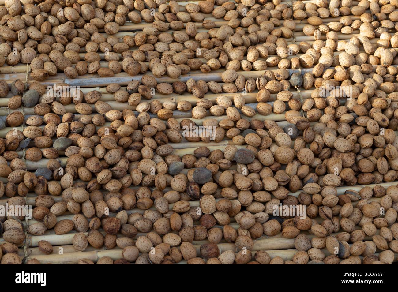 Drying in open hi-res stock photography and images - Alamy