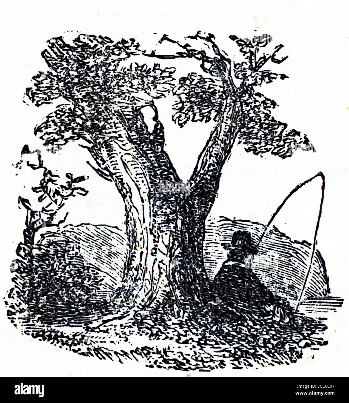 Timeless tranquil scene Cut Out Stock Images & Pictures - Alamy