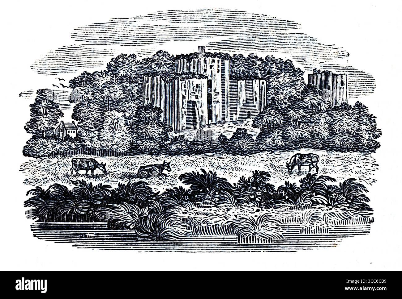 Rural landscape small river Cut Out Stock Images & Pictures - Alamy