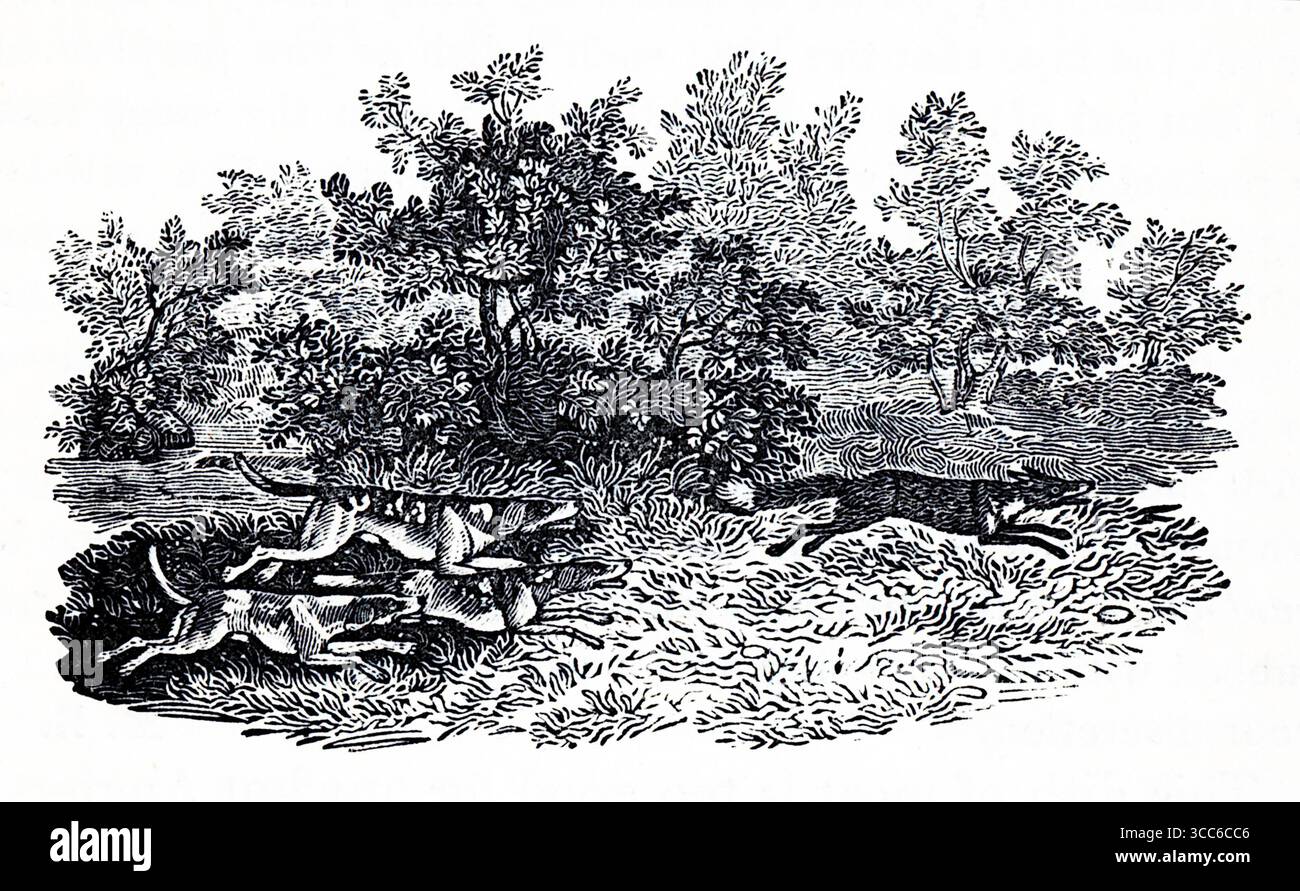 Dynamic portrayal captures hi-res stock photography and images - Alamy