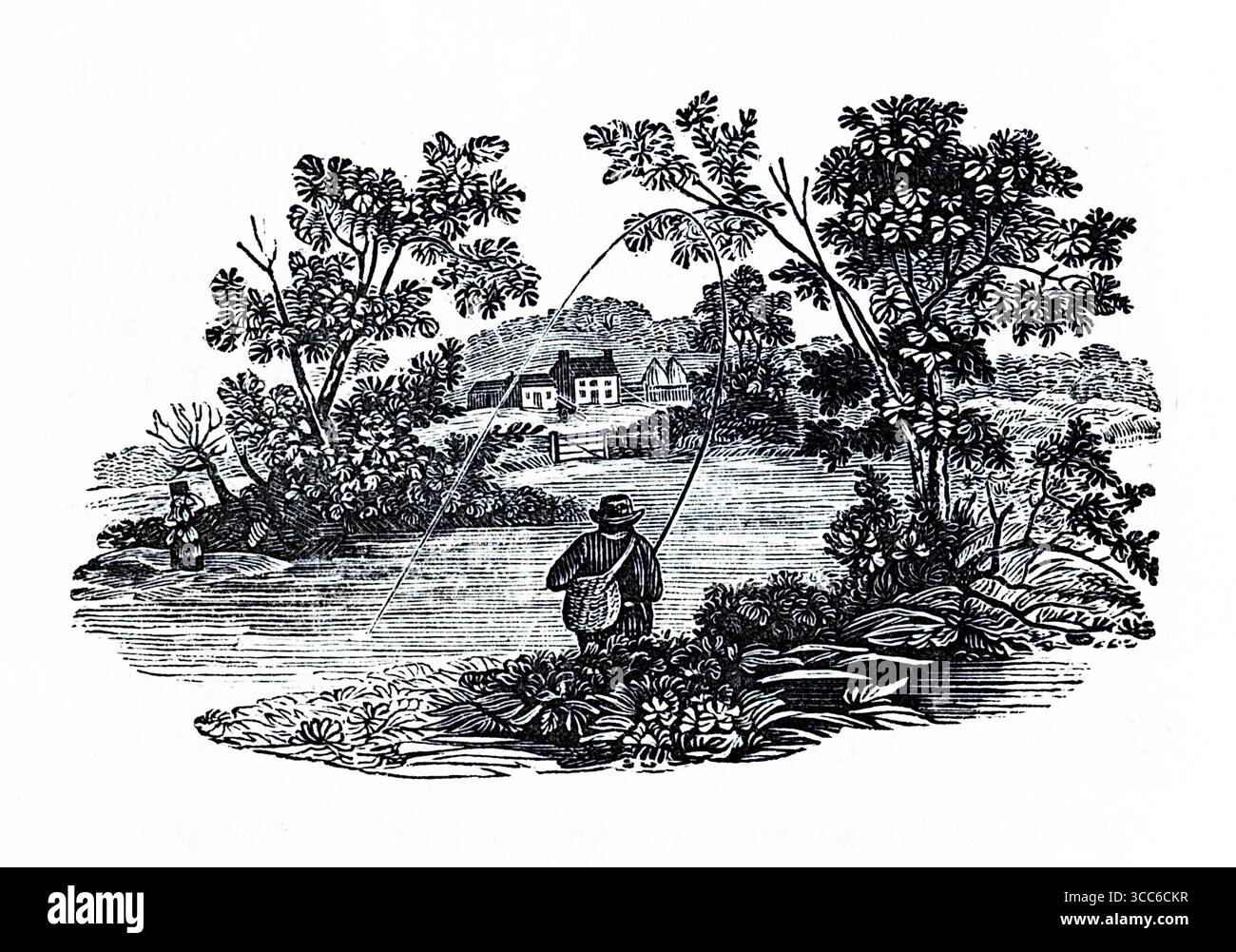 Foliage composition scene Cut Out Stock Images & Pictures - Alamy