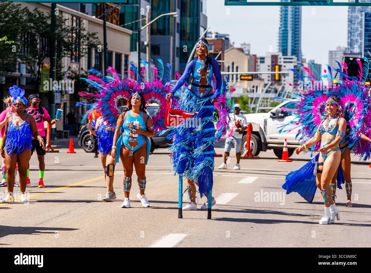 Members of the St Kitts Mas Band in bright blue and Pink feathers in ...