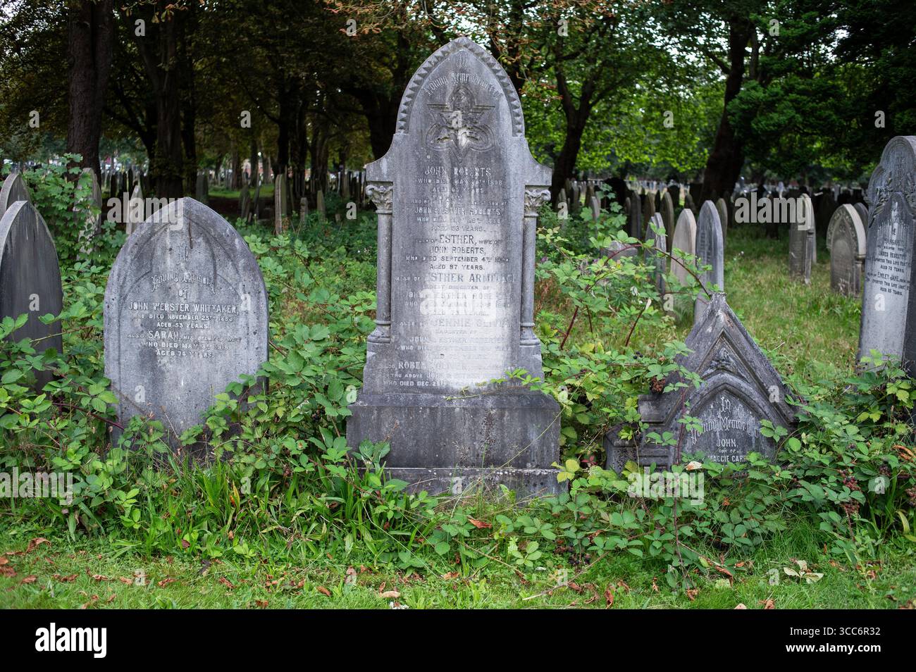 View of the Southern Cemetery, it is a large cemetery Manchester ...