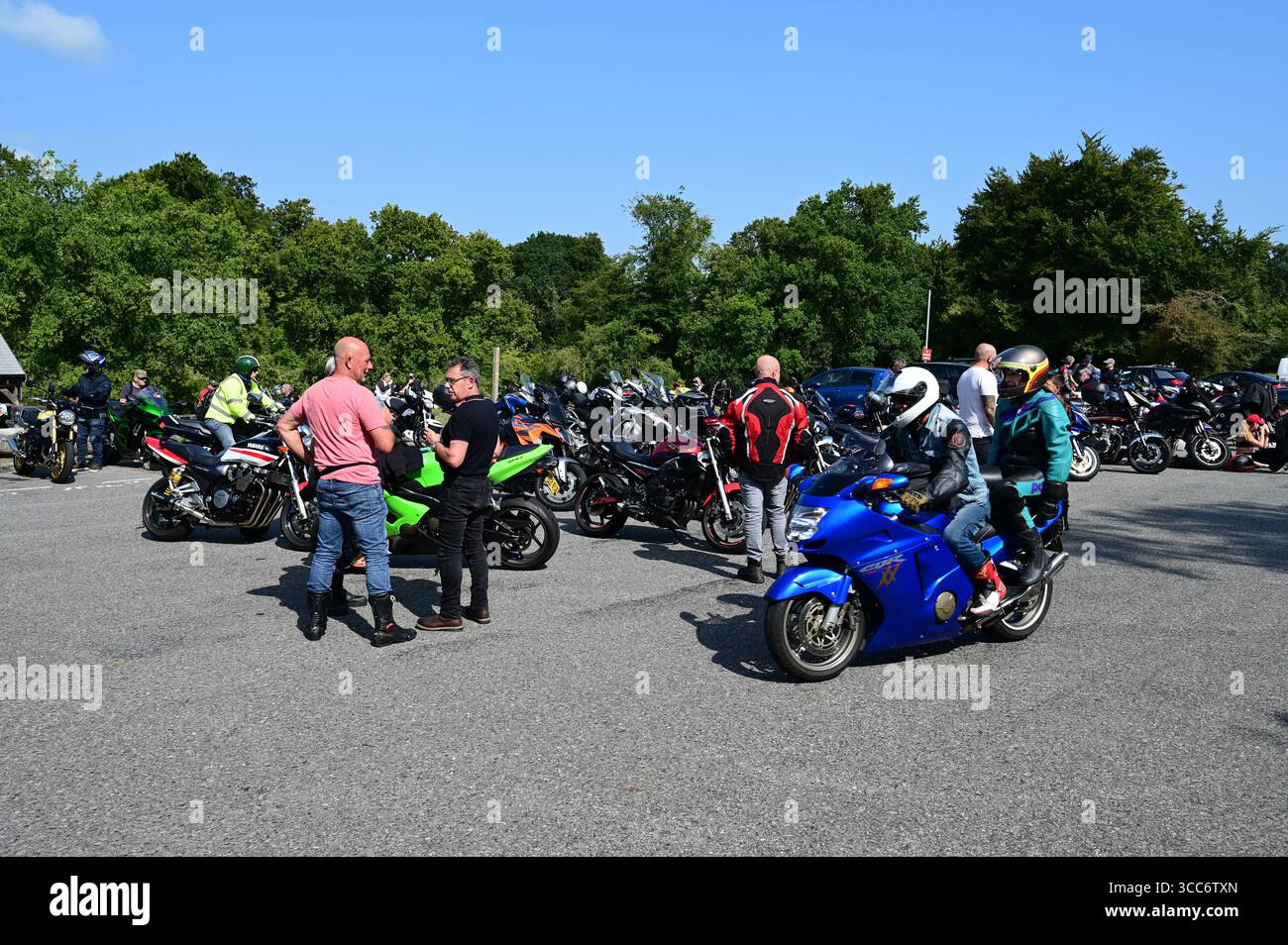Honda motorcycle forest hi-res stock photography and images - Alamy