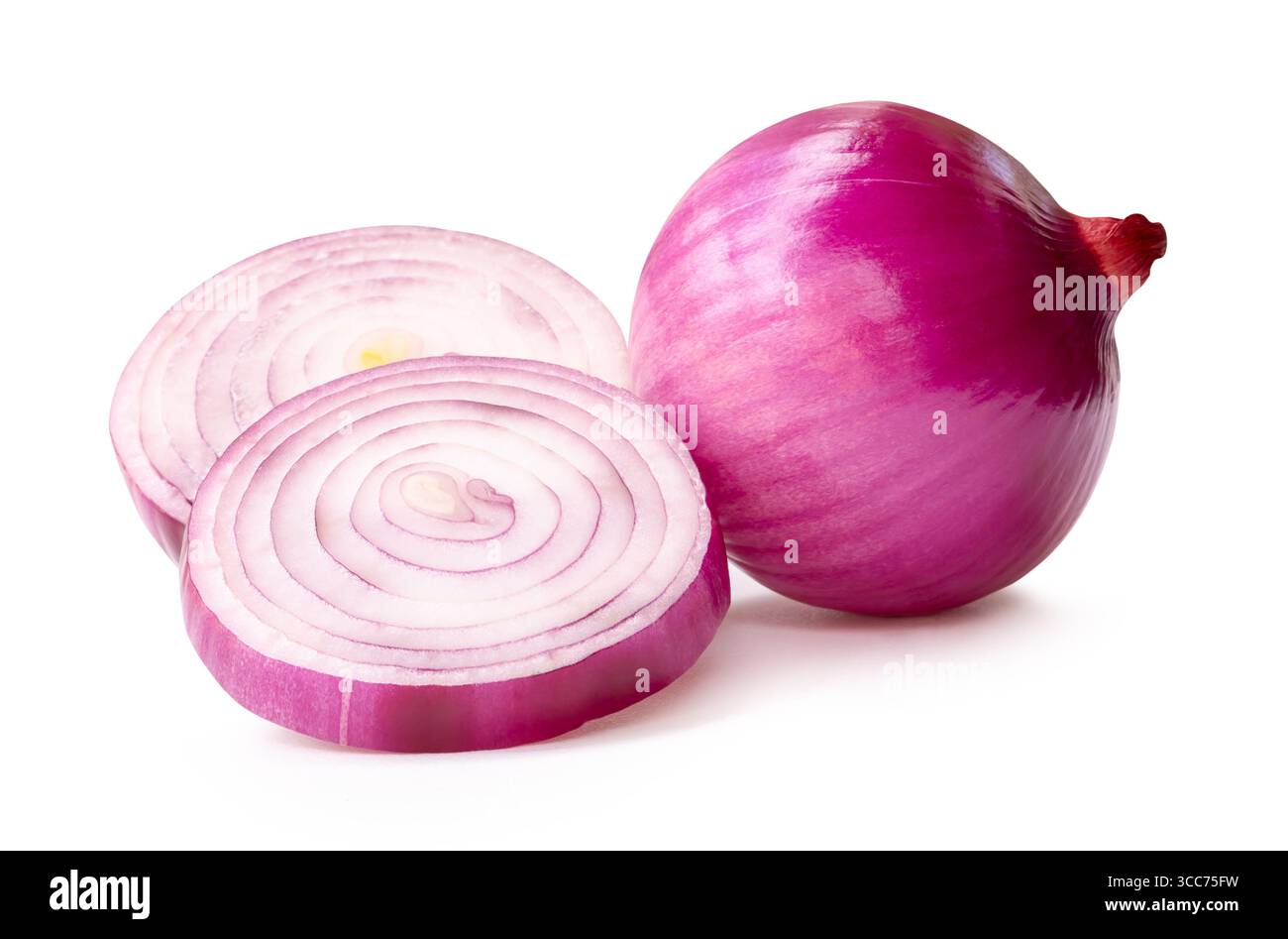 Single fresh unpeeled red or purple Spanish onion bulb with two onion ...