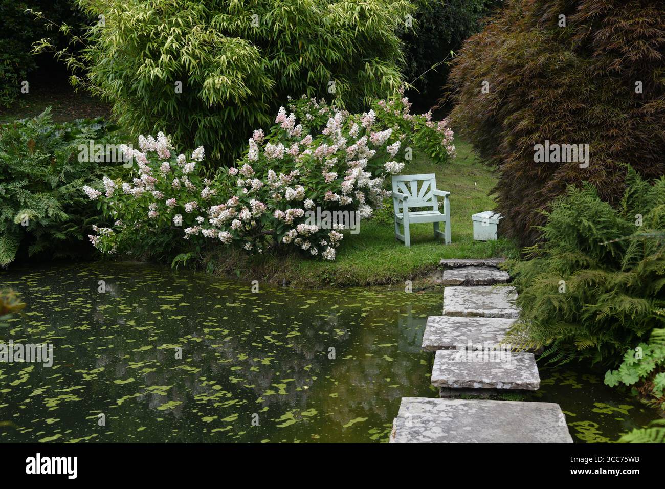 Chartwell dining table hi-res stock photography and images - Alamy