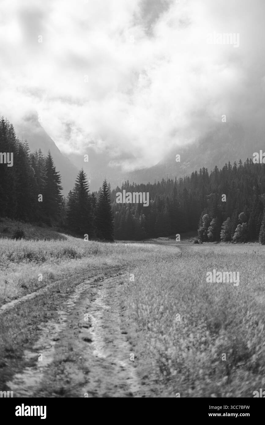 Karpaty mountains Black and White Stock Photos & Images - Alamy