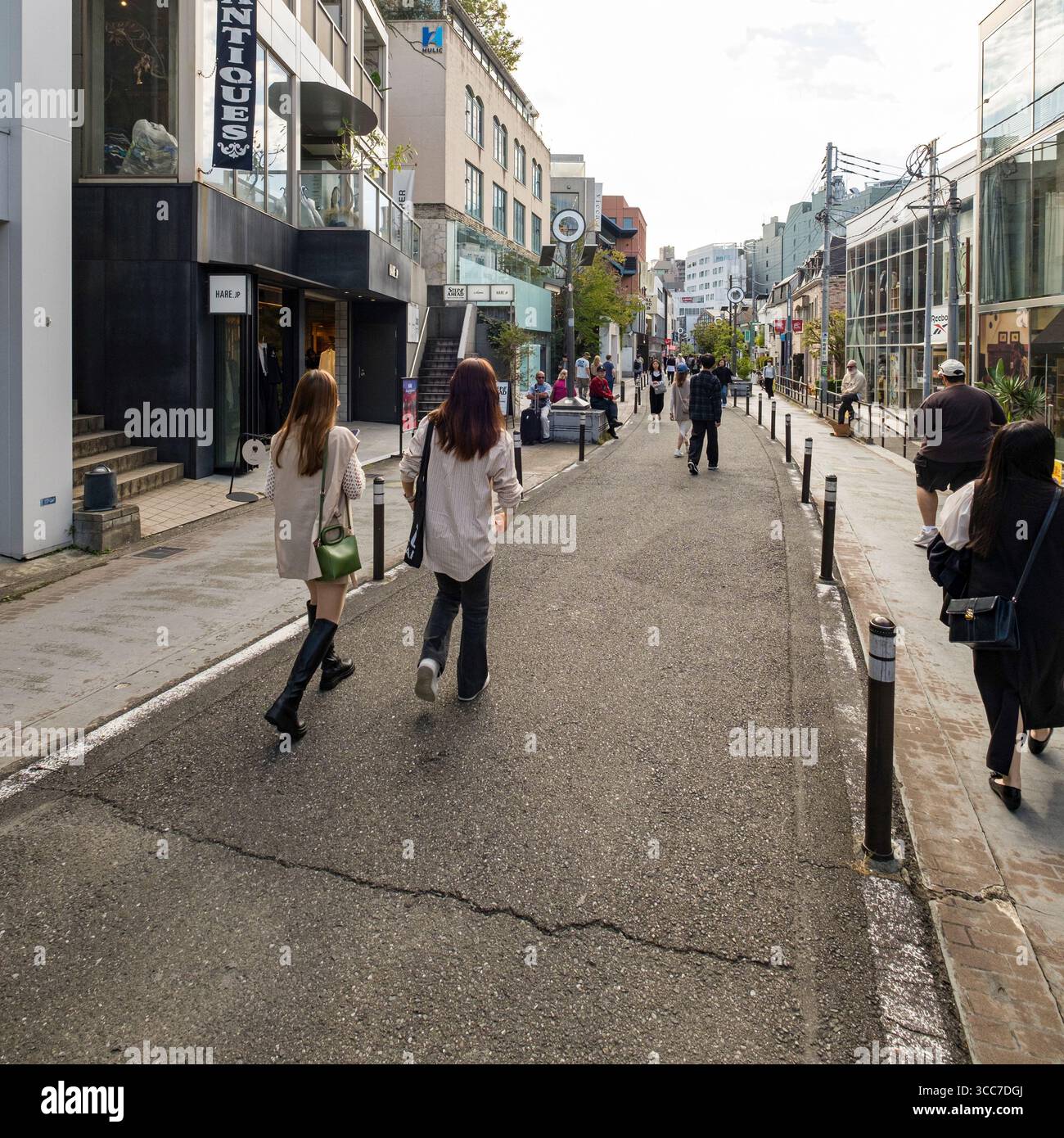 People walking on Cat Street, Jingumae, Shibuya City, Tokyo, Kantō ...
