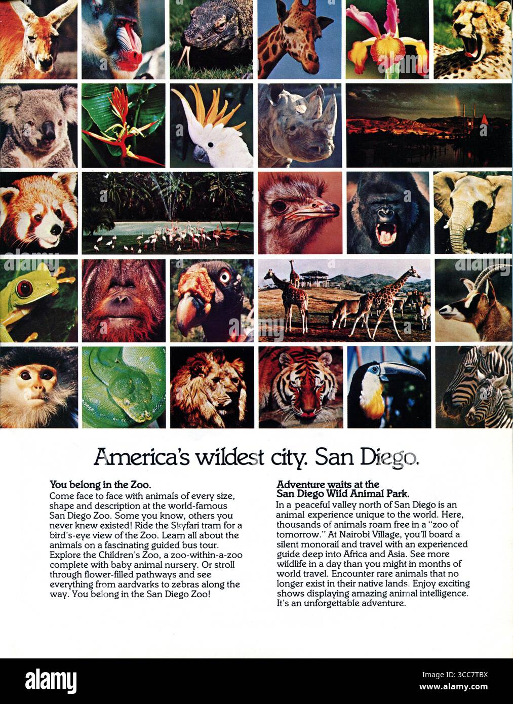 Zoo ad hi-res stock photography and images - Alamy