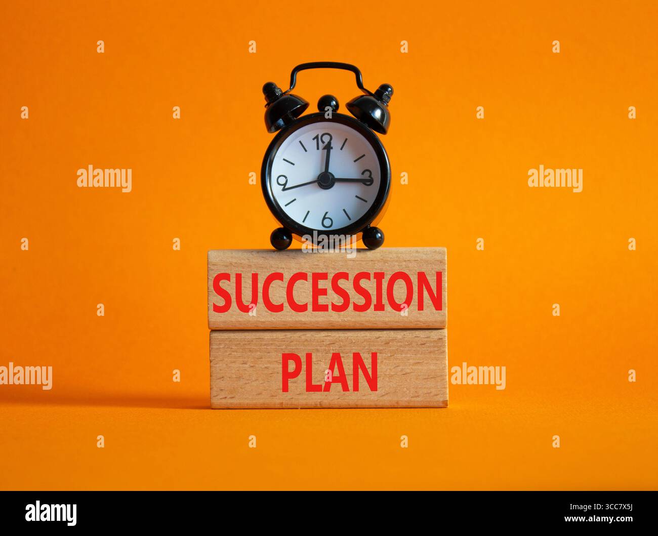 Succession Plan symbol. Wooden blocks with words Succession Plan ...