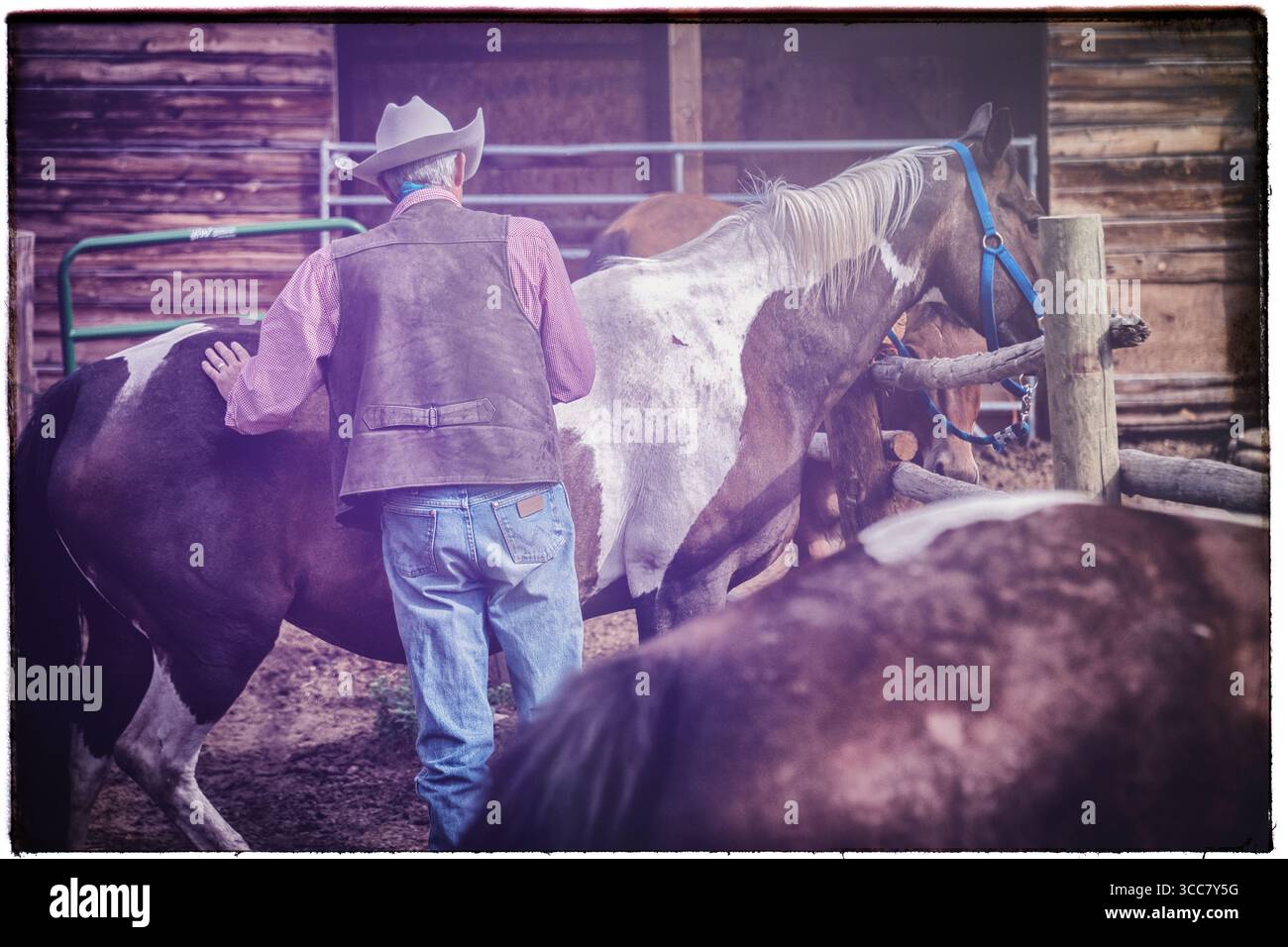 Rustic corral setting hi-res stock photography and images - Alamy