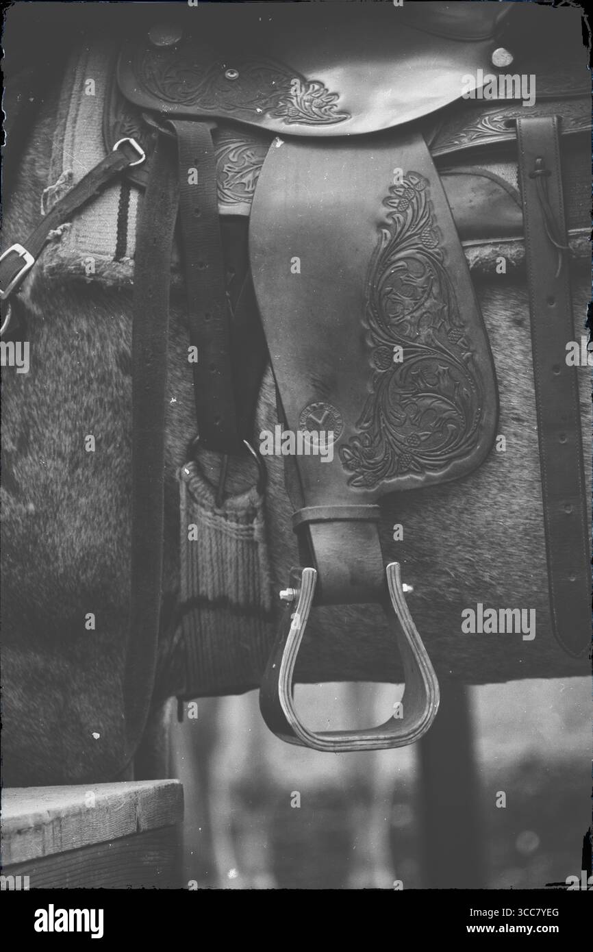 Equine close view rustic style hi-res stock photography and images - Alamy