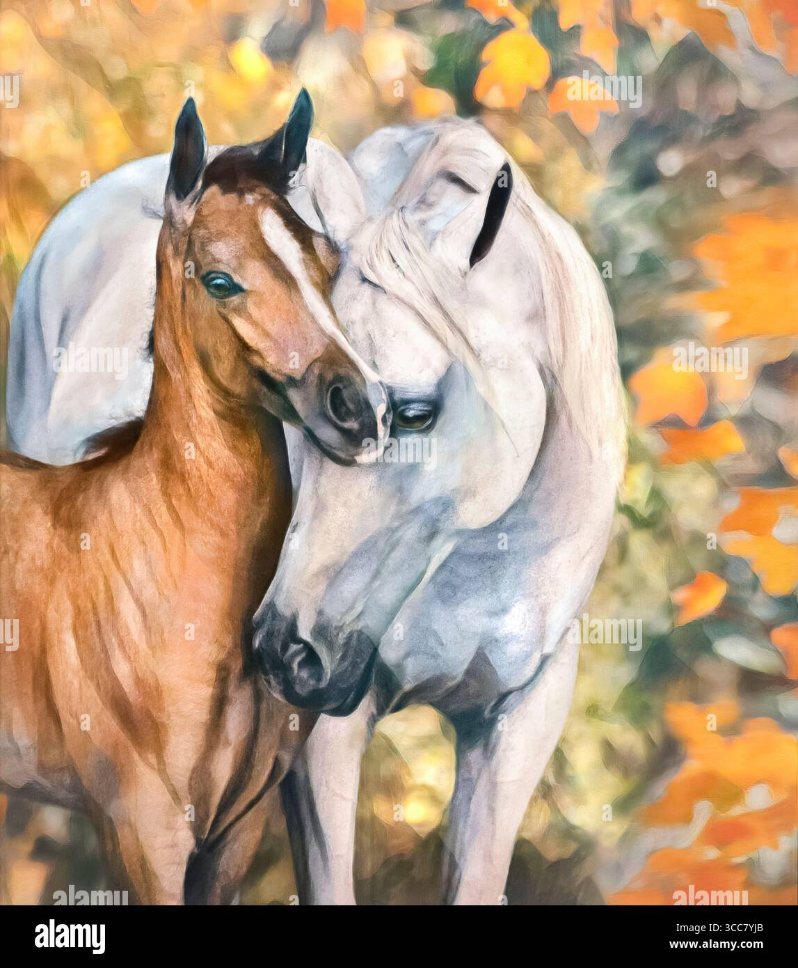 Adult female Arabian horse mare with baby animal foal captured in a ...