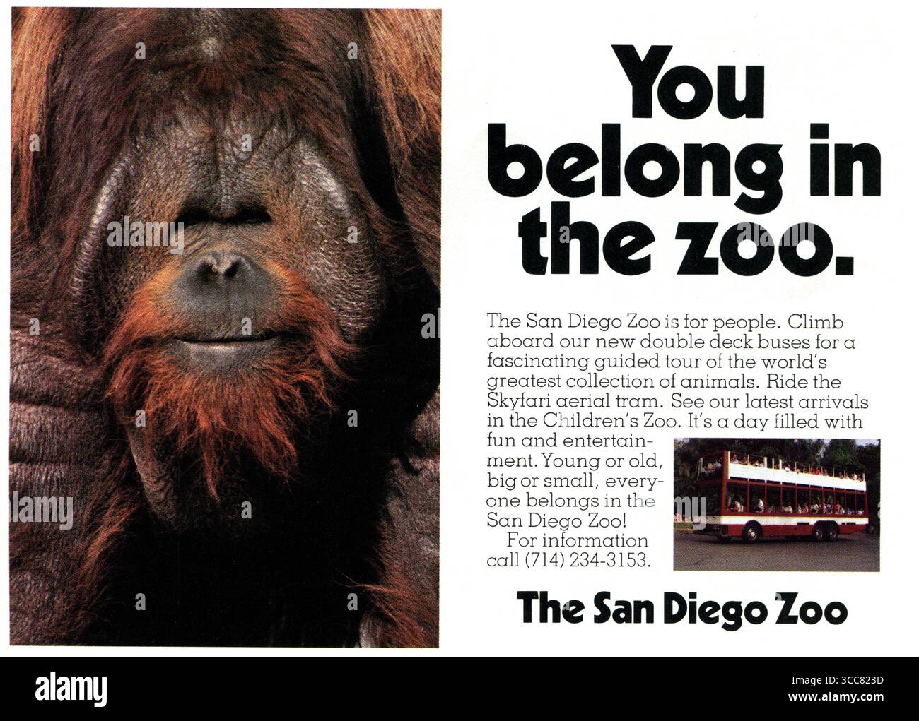 Zoo magazines Cut Out Stock Images & Pictures - Alamy