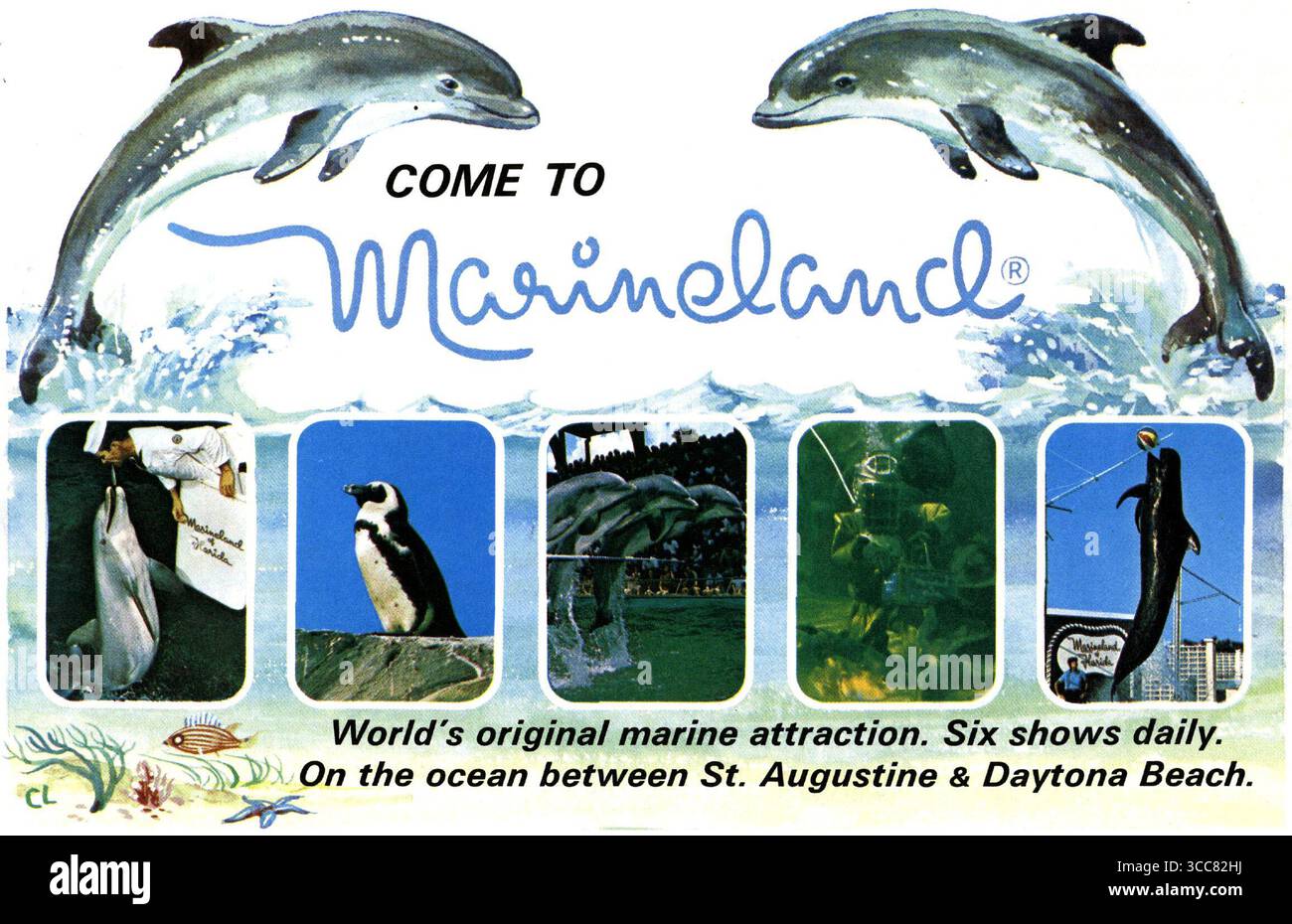 Adventure trips Cut Out Stock Images & Pictures - Alamy