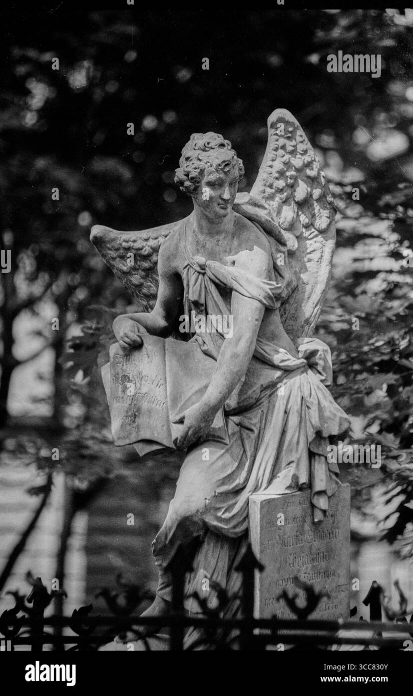 Sophie Engel Deutschland, Berlin, 13.06.1992, Engel im Garten der ...