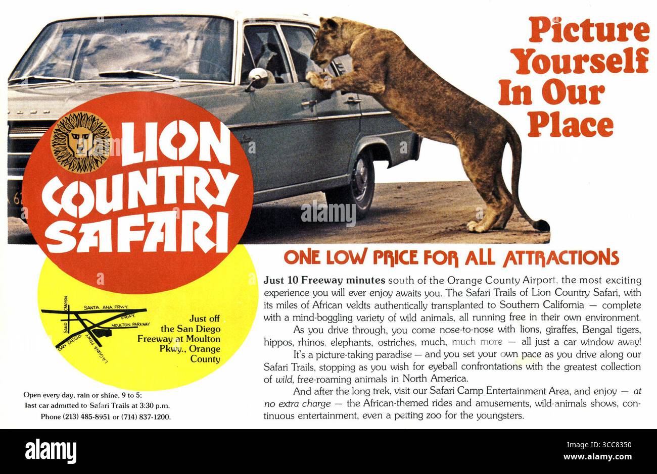 Safari visit Cut Out Stock Images & Pictures - Alamy