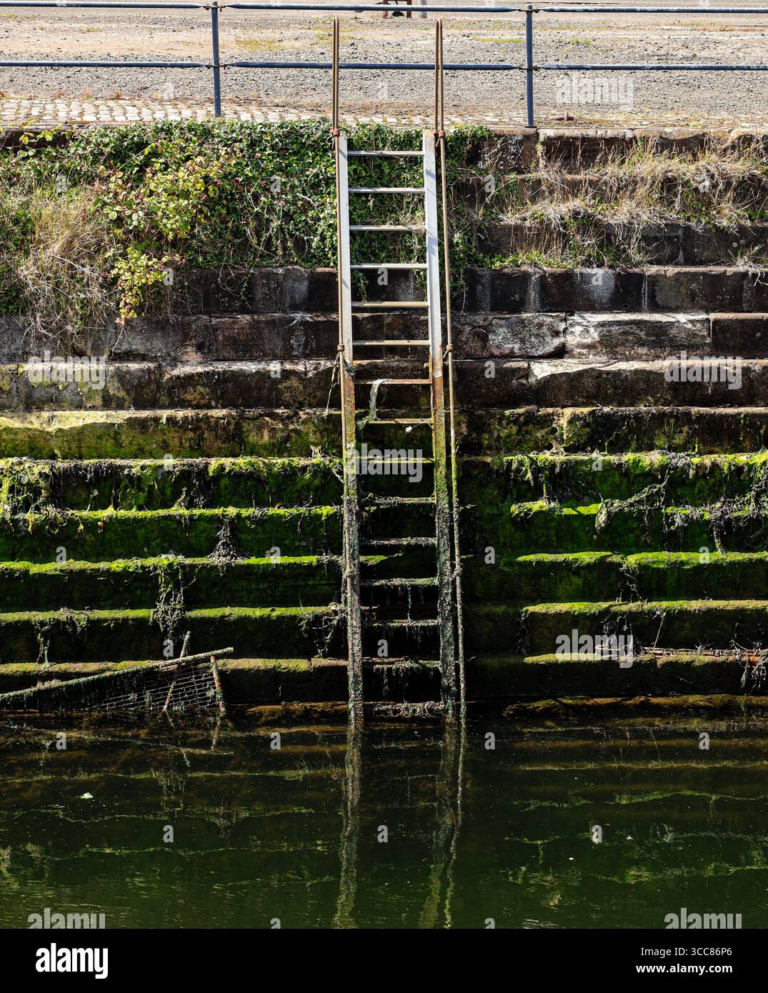 Metal ladder descends water hi-res stock photography and images - Alamy