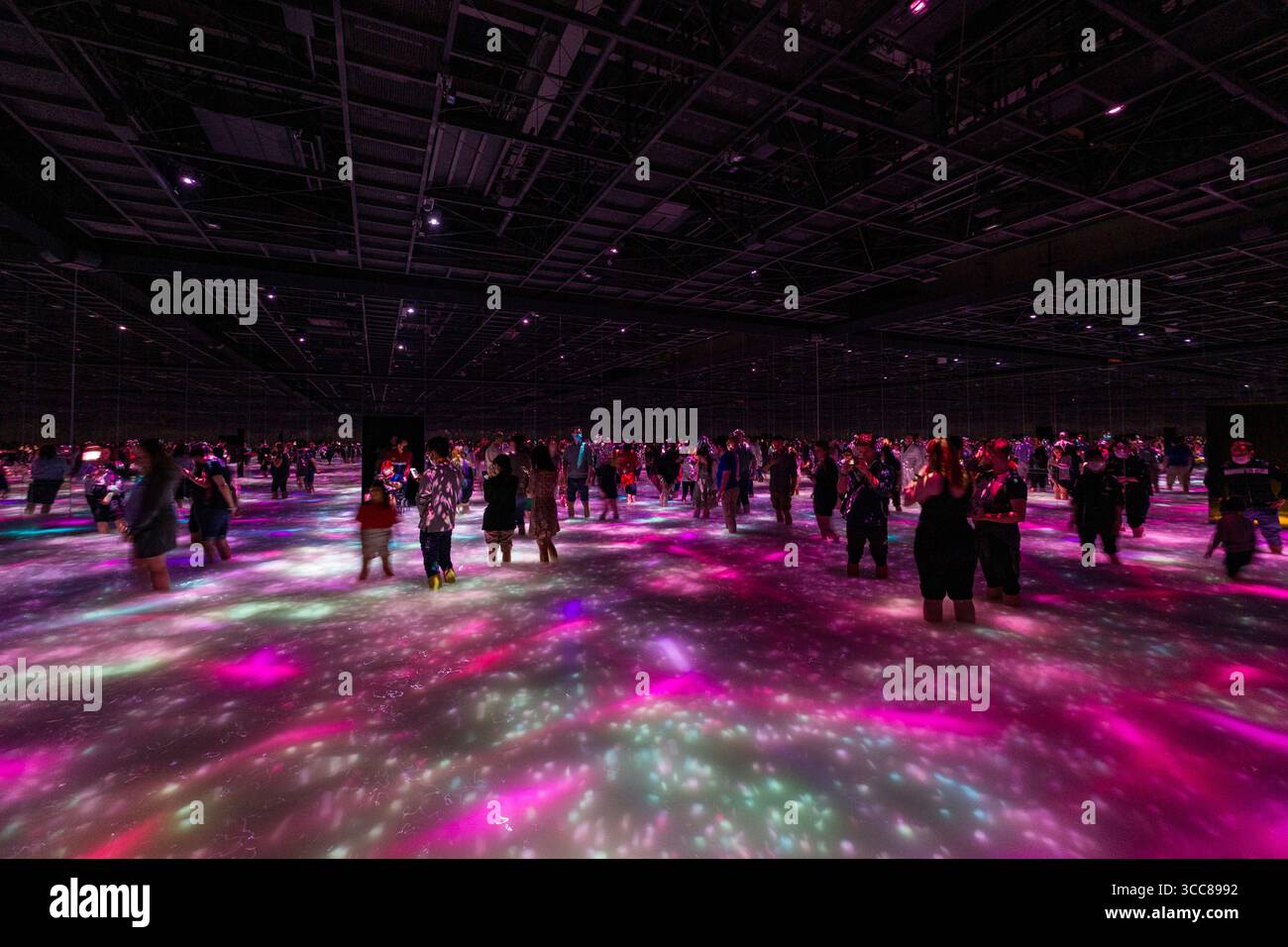 Visitors walking in ankle deep water enjoying the Dance of Koi and ...