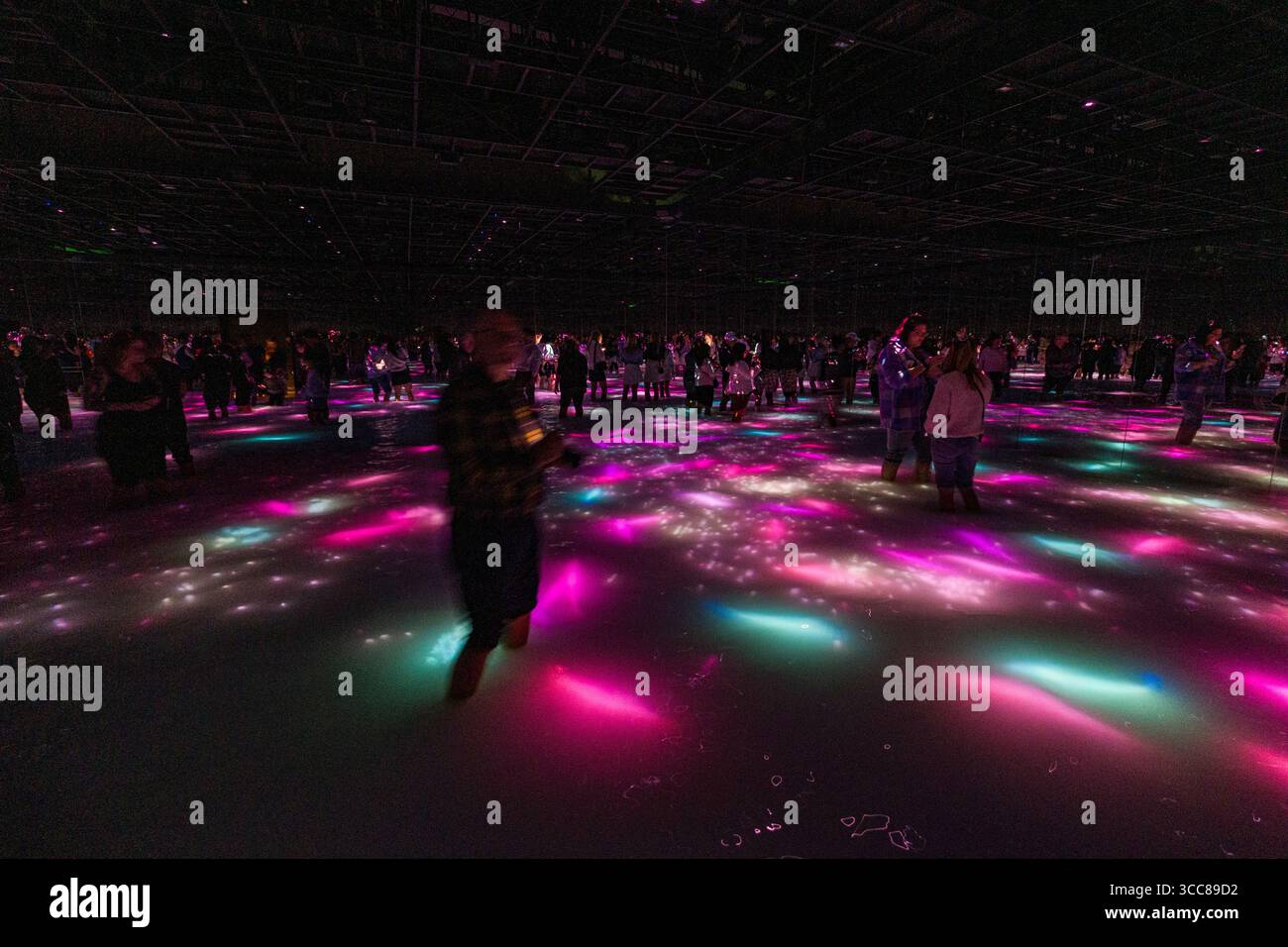 Visitors walking in ankle deep water enjoying the Dance of Koi and ...
