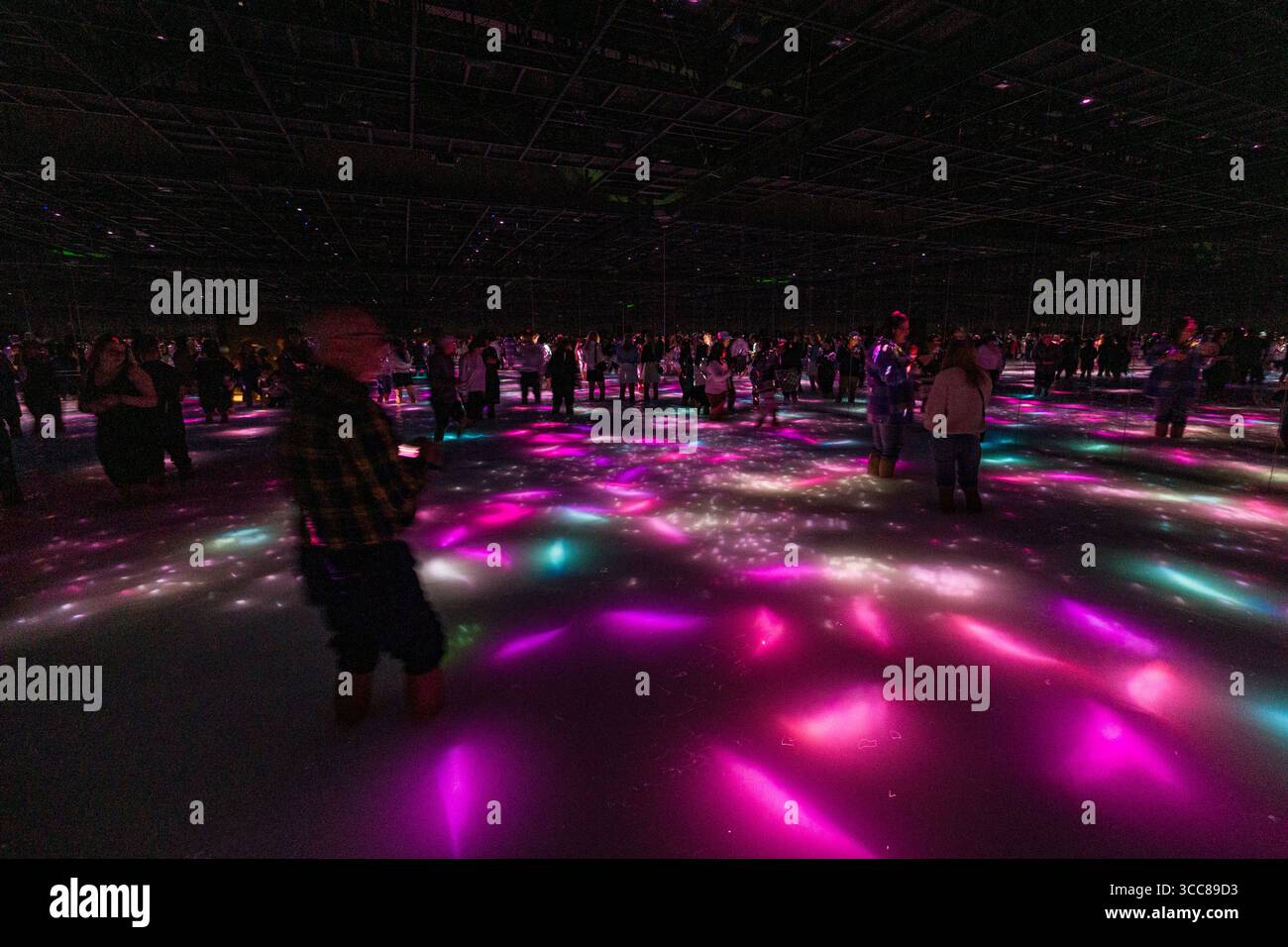 Visitors walking in ankle deep water enjoying the Dance of Koi and ...