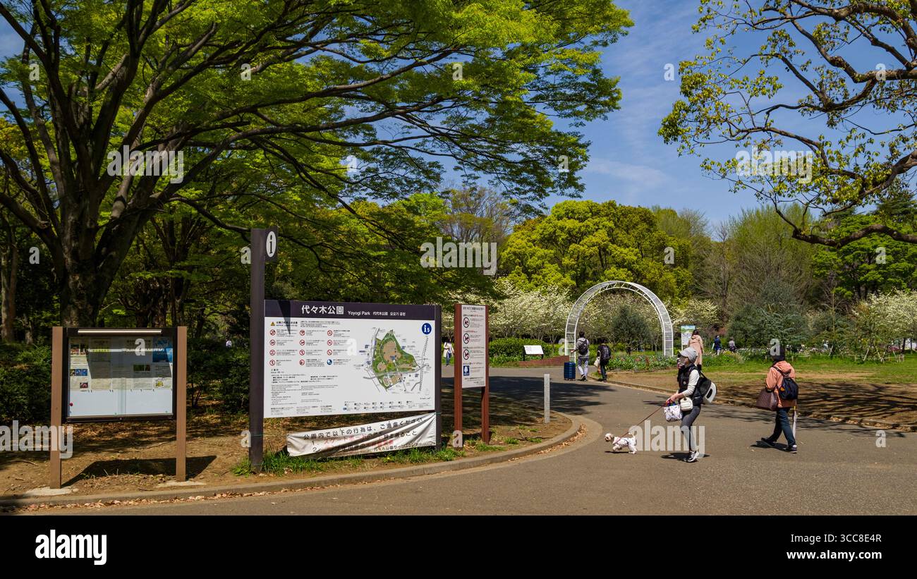 People walking on path in Yoyogi Park, Yoyogikamizonocho, Shibuya City ...