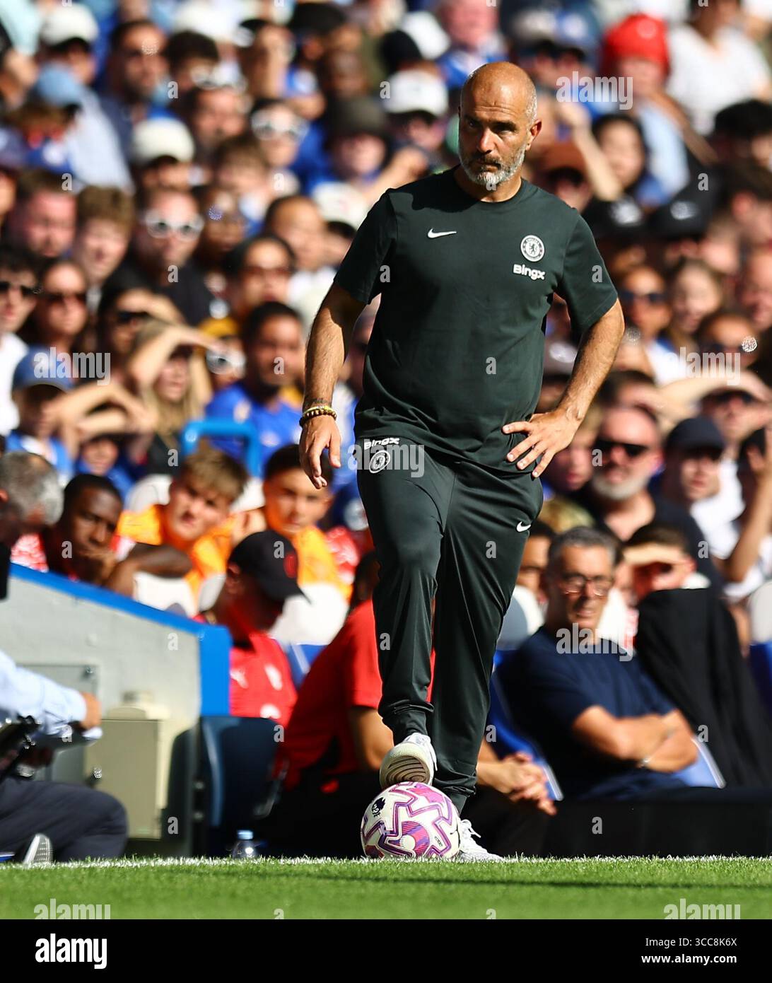 Enzo Maresca manager of Chelsea during Chelsea and AC Milan football ...