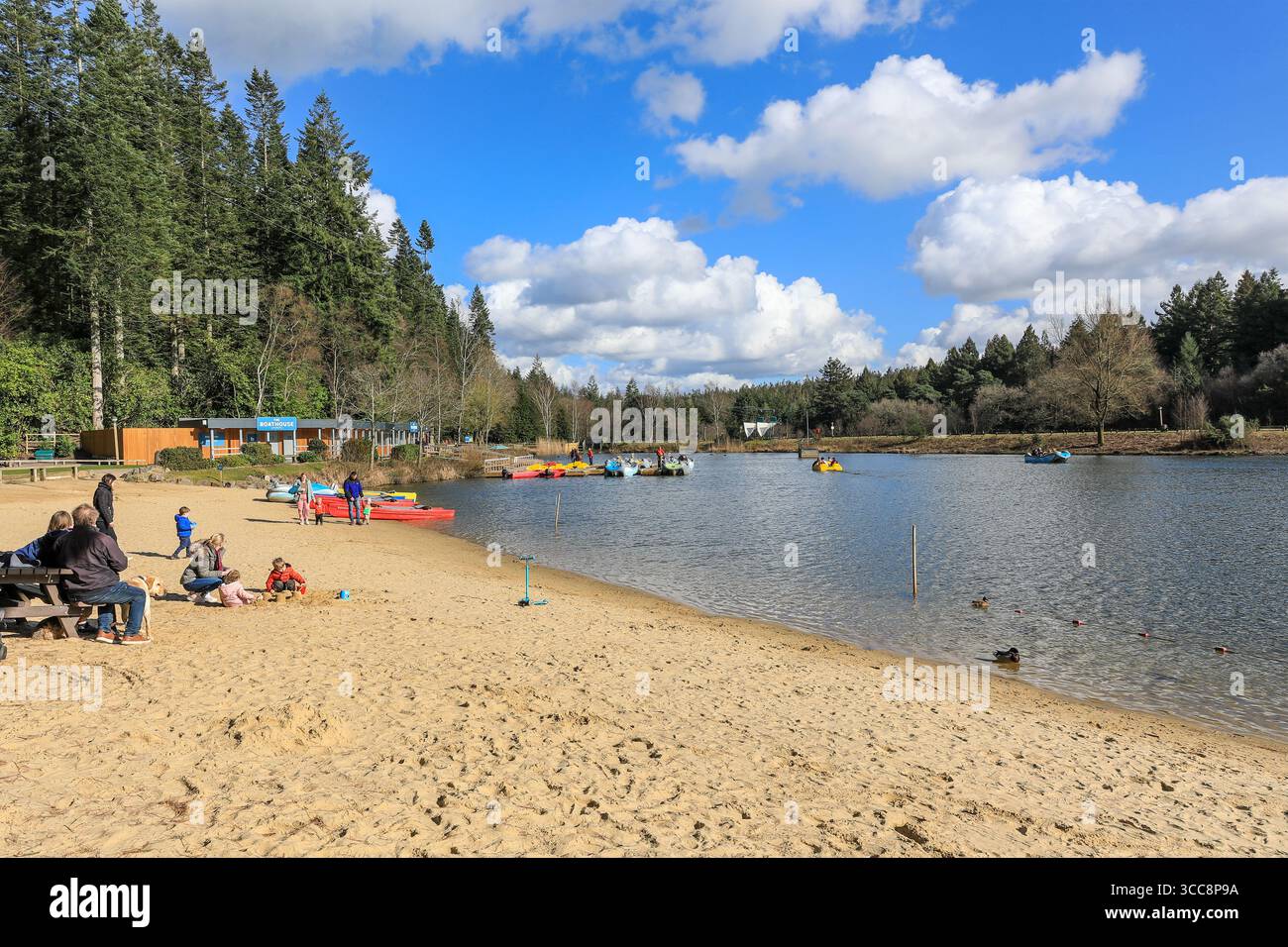 The boating lake at Center Parcs, Longleat Forest Holiday Village ...