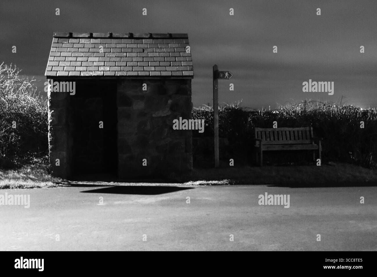 Evening bus Black and White Stock Photos & Images - Alamy