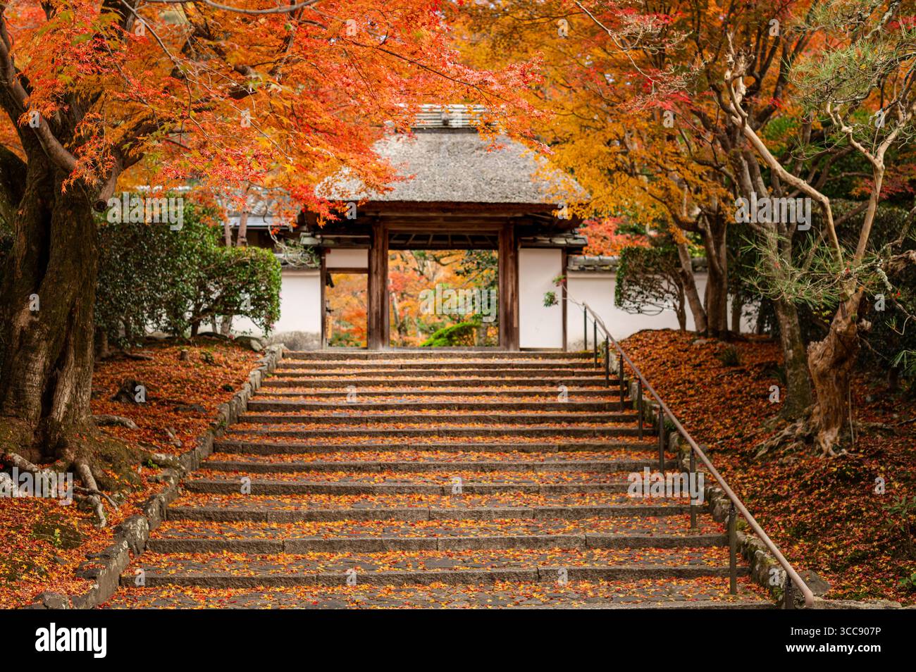Stone steps japanese garden hi-res stock photography and images - Alamy