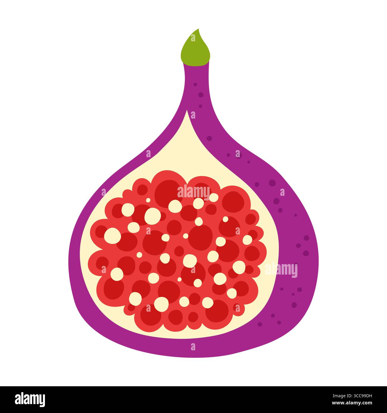 Fruit tropical figs Stock Vector Images - Alamy