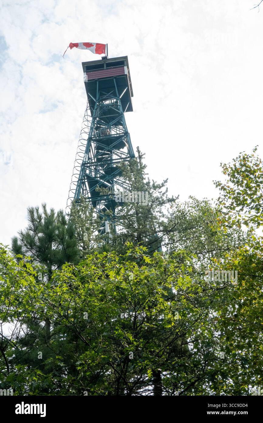 View from the ground of the Temagami Fire Tower. The Temagami Fire ...