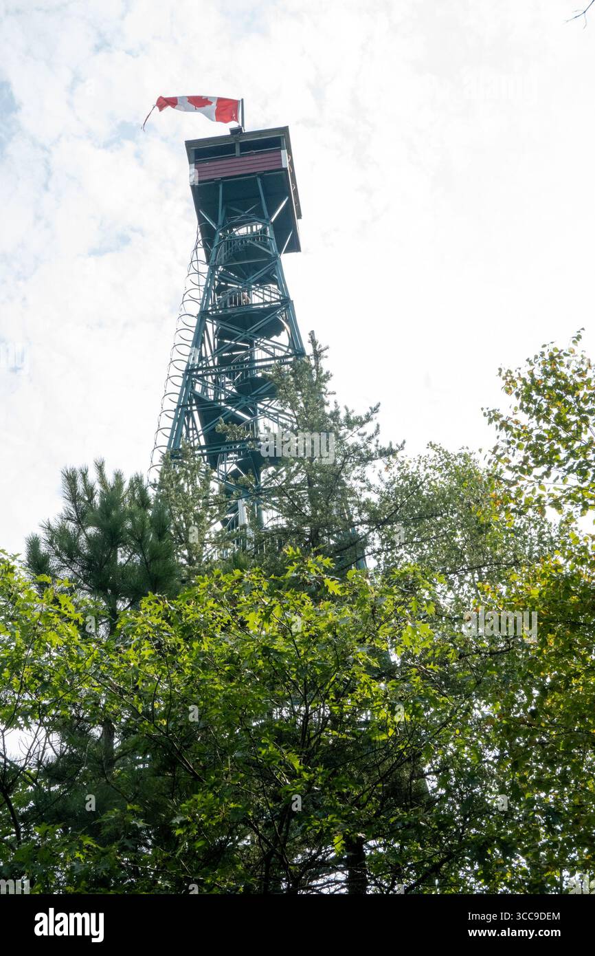 Temagami, Canada. 09th Aug, 2025. View from the ground of the Temagami ...