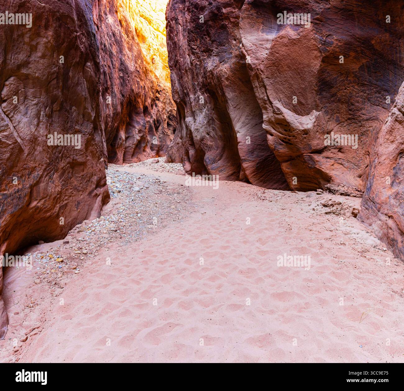 The Vertical Sandstone Walls of Buckskin Gulch, Vermillion Cliffs ...