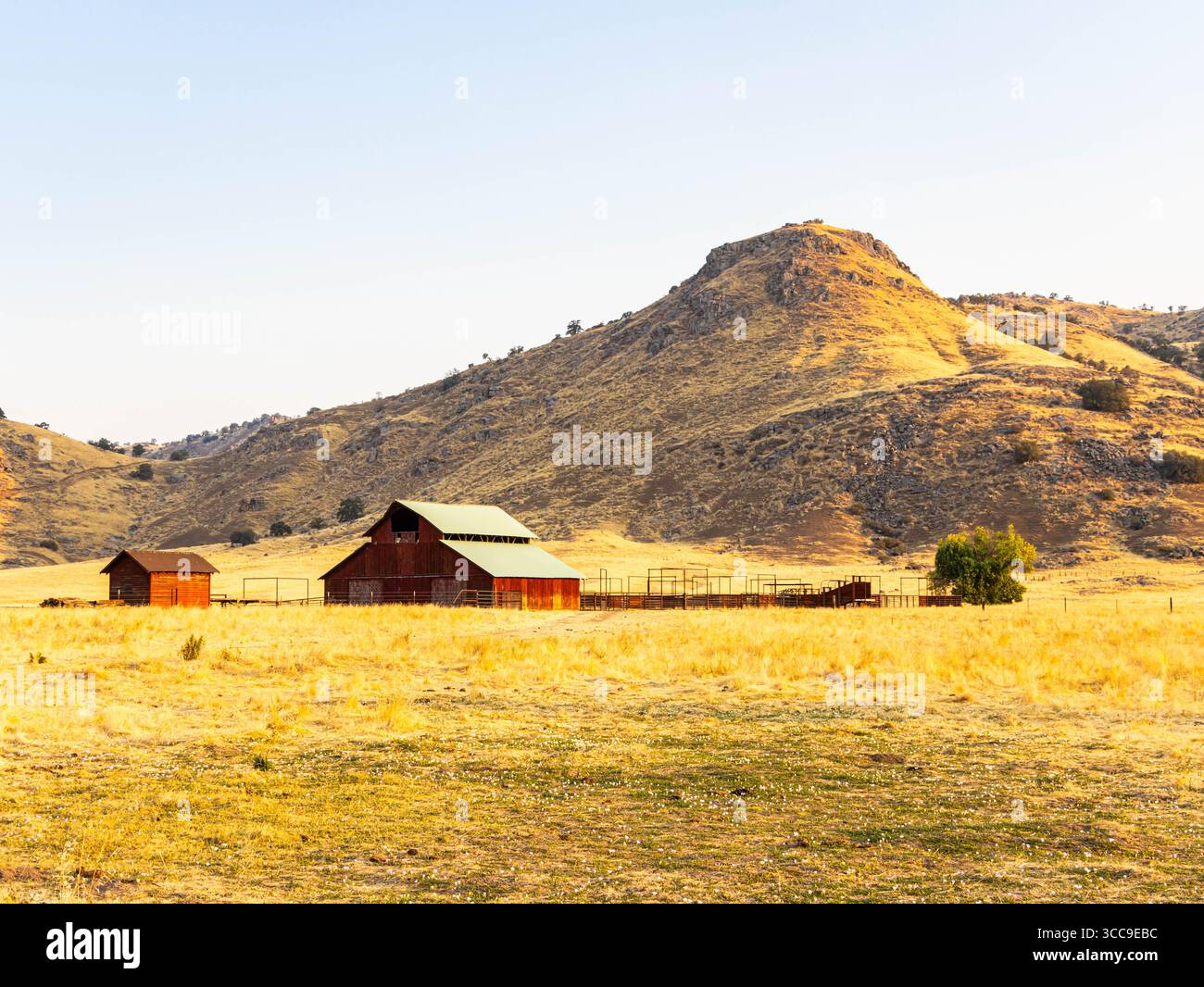 Red Barn and Cattle Ranch Below The Sierra Nevada Foothills of Rural ...