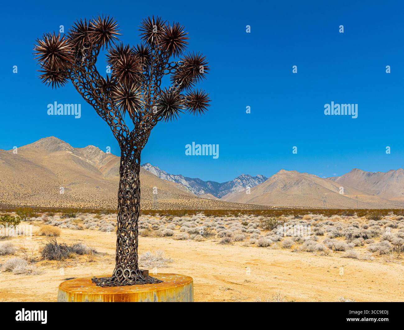 Horseshoe Joshua Tree at Old Mining Camp, Inyo County, California, USA ...