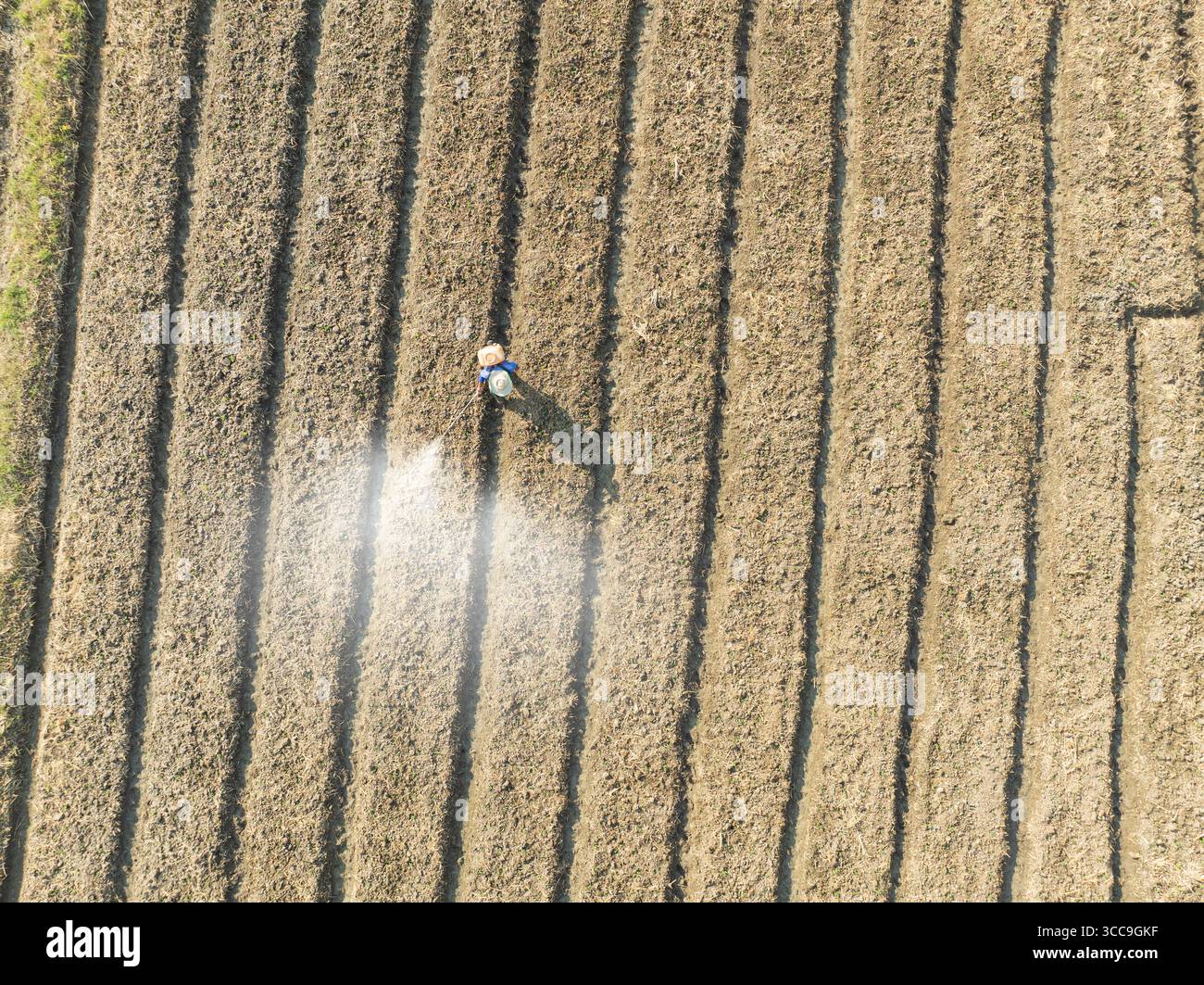 Worker spraying plants pesticides hi-res stock photography and images ...