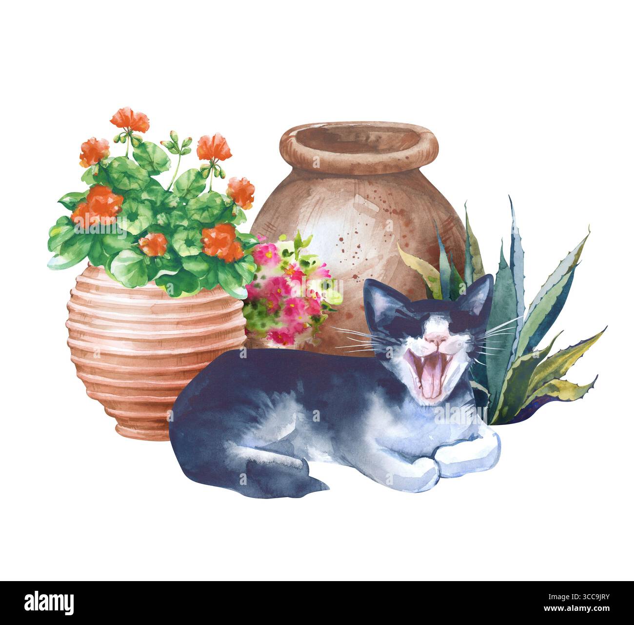 Illustration next cat Cut Out Stock Images & Pictures - Alamy