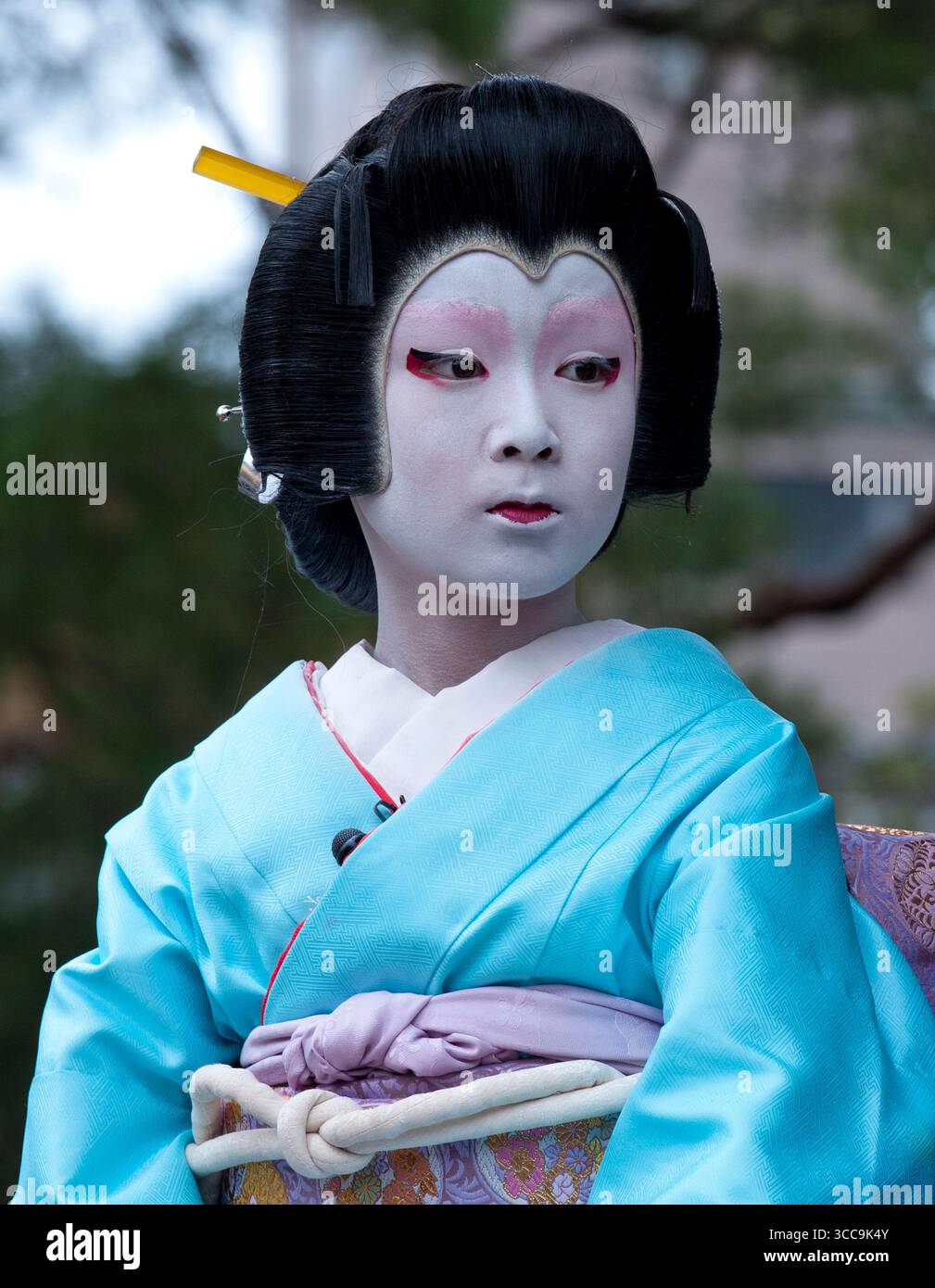 Nagahama Hikiyama Matsuri (長浜曳山まつり) festival: kabuki plays performed by all boys in traditional ...