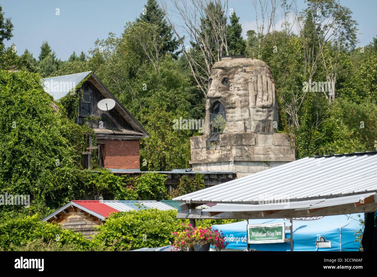 Screaming Heads stone sculptures by Canadian artist Peter Camani at his ...