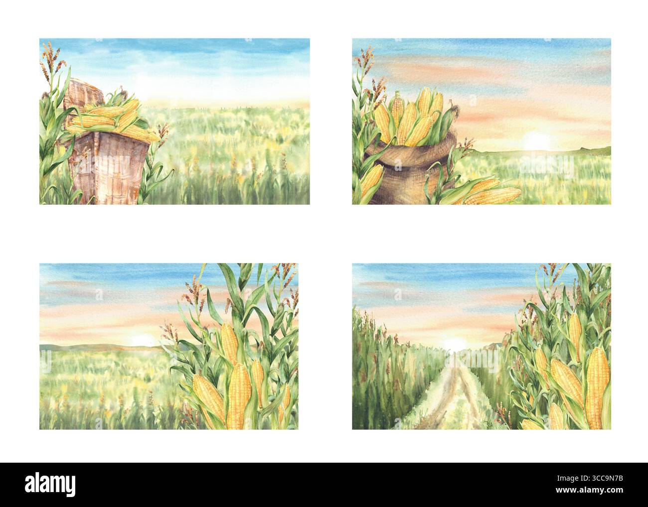 Nature landscape path in Cut Out Stock Images & Pictures - Alamy